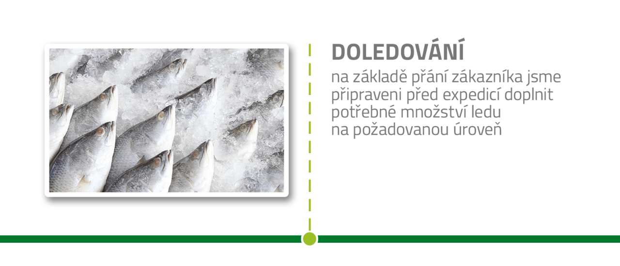 HOPI Fish HUB Česky | HOPI CEE Fish HUB - Soutok moří v srdci Evropy.