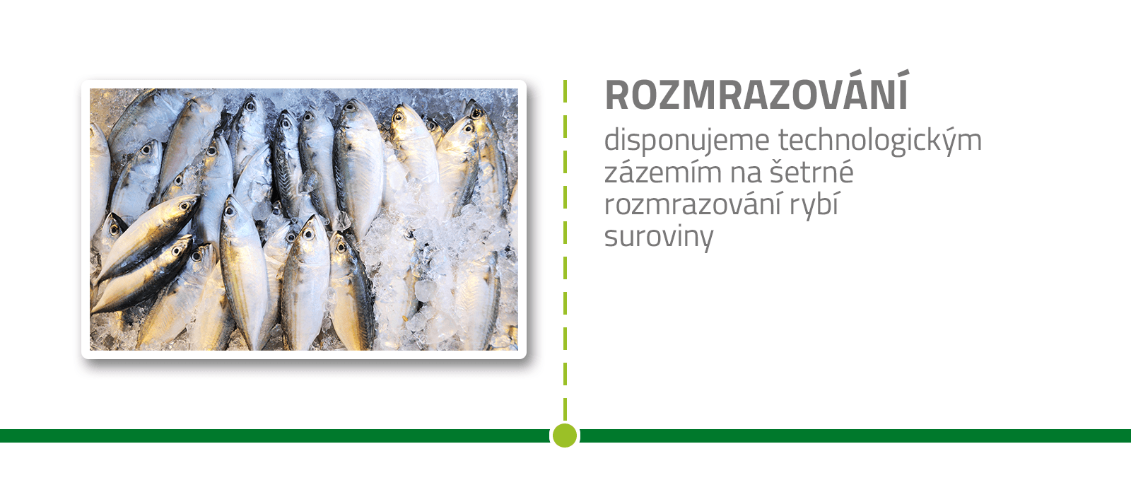 HOPI Fish HUB Česky | HOPI CEE Fish HUB - Soutok moří v srdci Evropy.