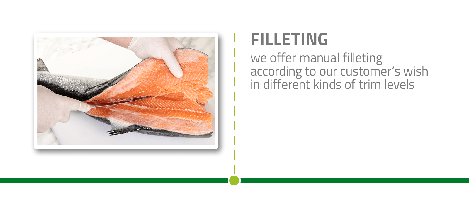 English | HOPI CEE Fish HUB