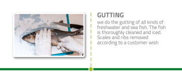 English | HOPI CEE Fish HUB